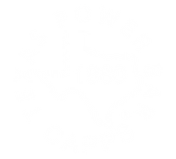 "Original" Texas Power Bar | Legendary Powerlifting Barbell Since 1980